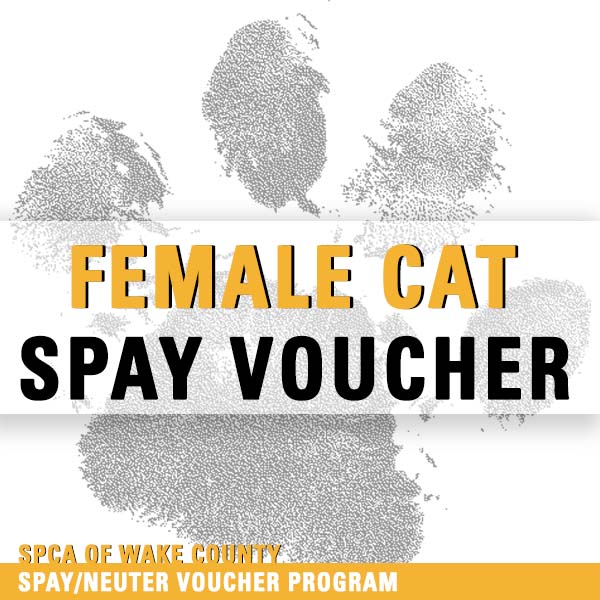 FEMALE CAT - SPAY VOUCHER – SPCA Wake Spay/Neuter Voucher Program